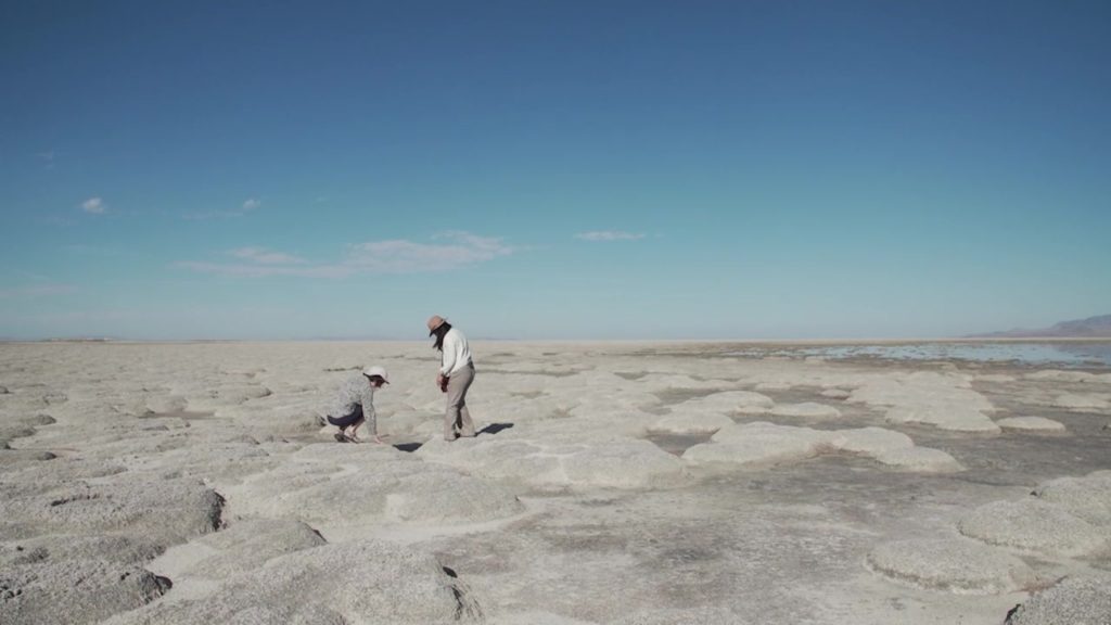 Utahs Great Salt Lake Shrinks To Unsustainable Levels Amid A Decades