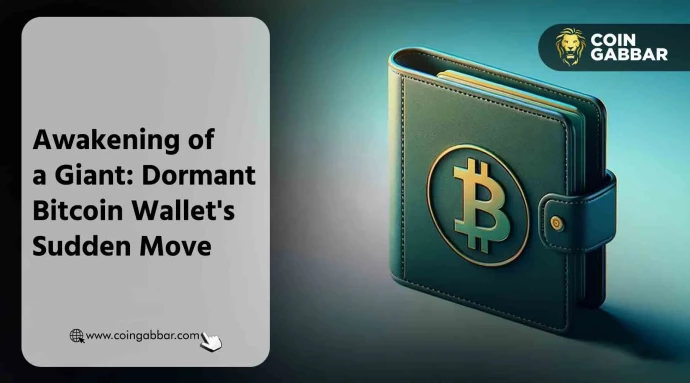 Dormant Bitcoin Wallets Trend Affecting Btc Value