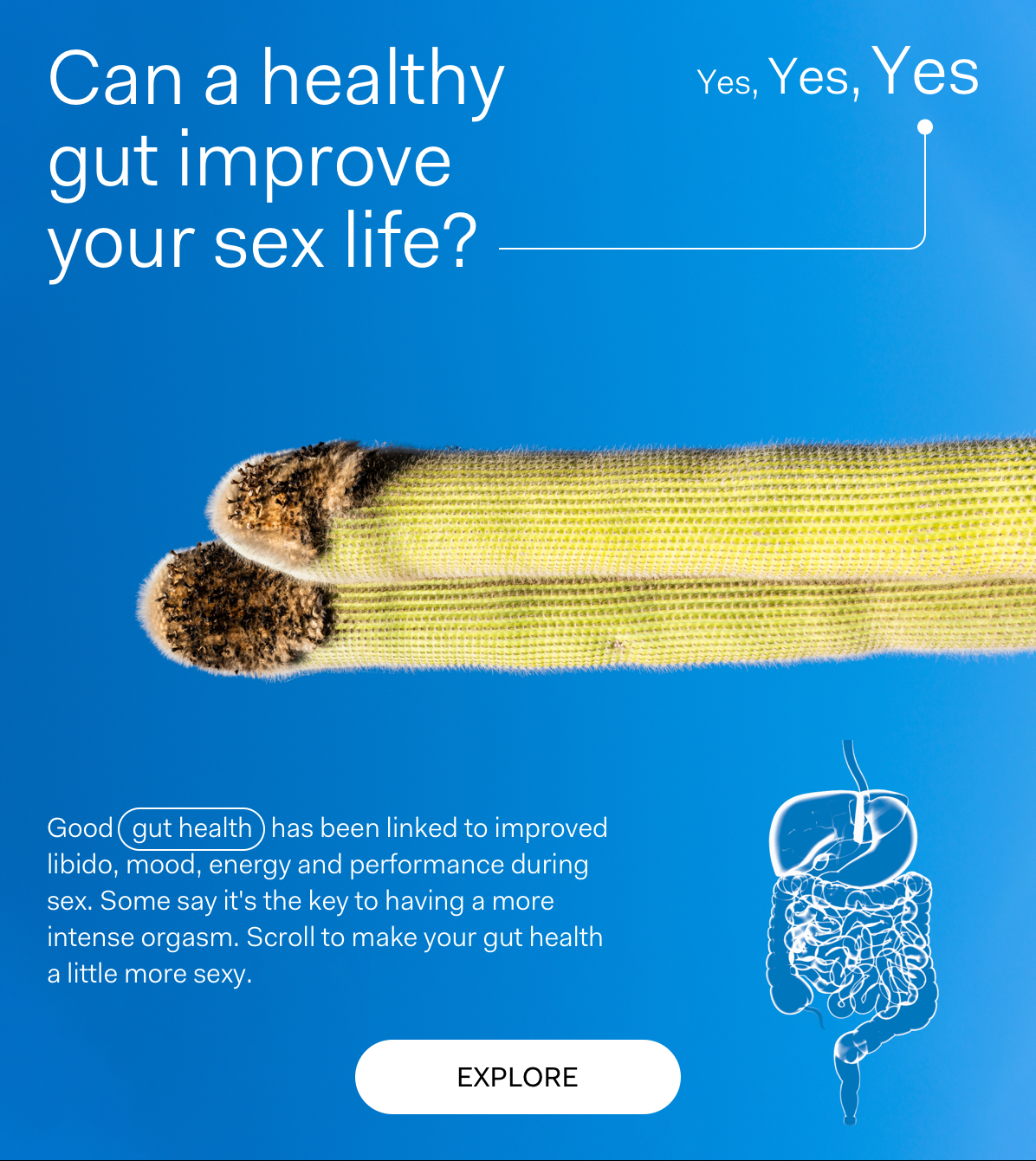 Gut Health And Sex Outlet Lasebfaeufmgbr