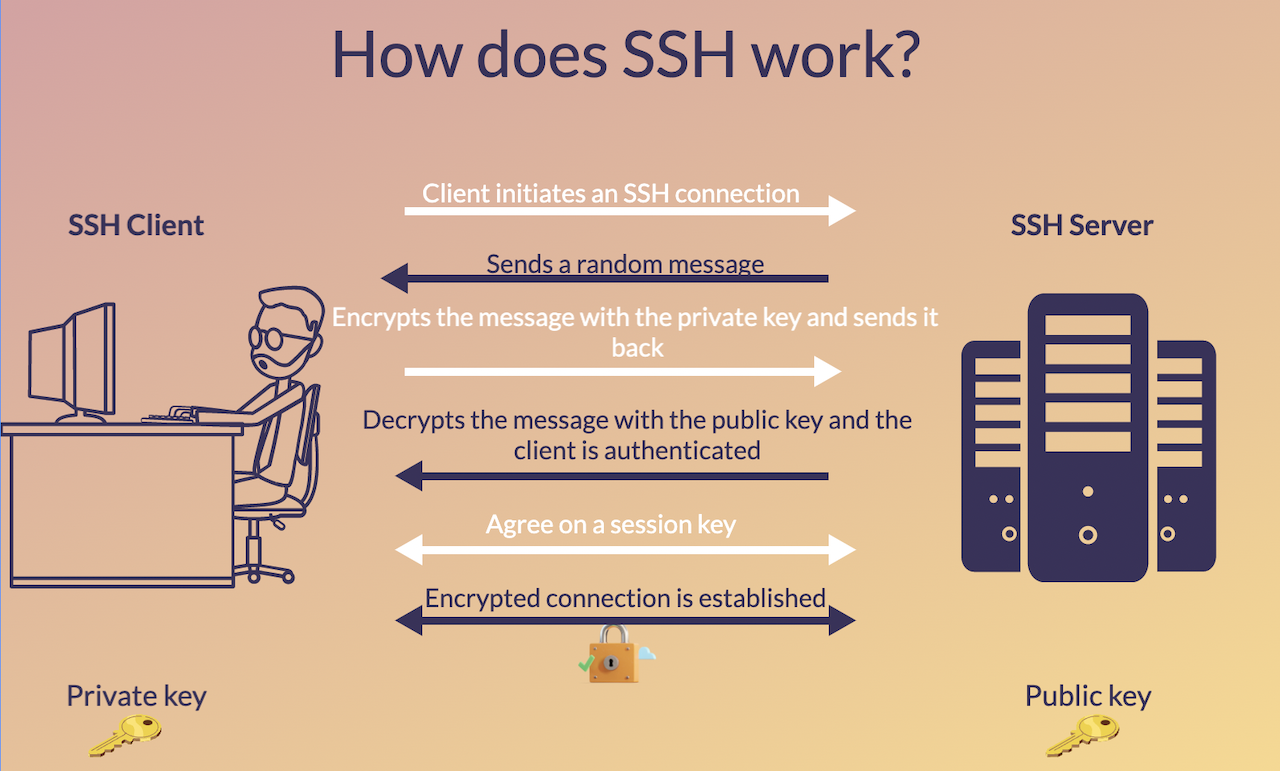 What Is Ssh Beginners Guide To Remote Access Siteground Kb