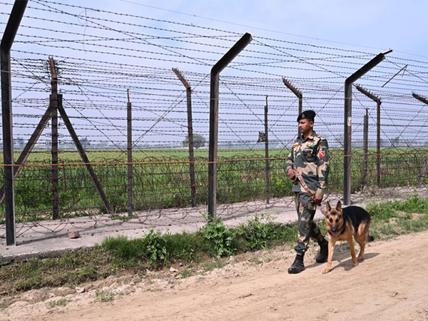 Bsf Issues High Alert On Bangladesh India Border Security Increased