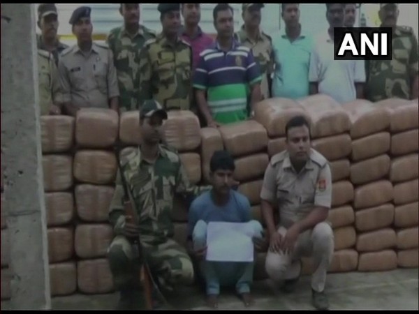 Tripura Cannabis Worth Over Rs 70 Lakh Seized 1 Held