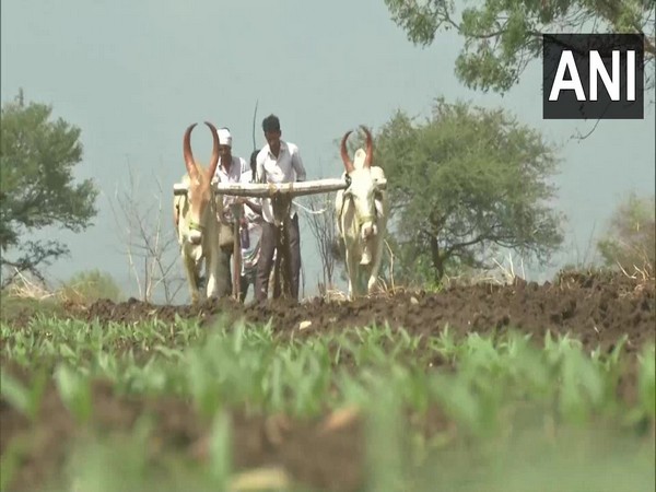 Farmers Start Sowing Kharif Crops In Kalaburagi