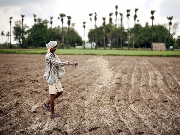 Over 41 Lakh Paddy Farmers Have Benefitted From Kms Procurement