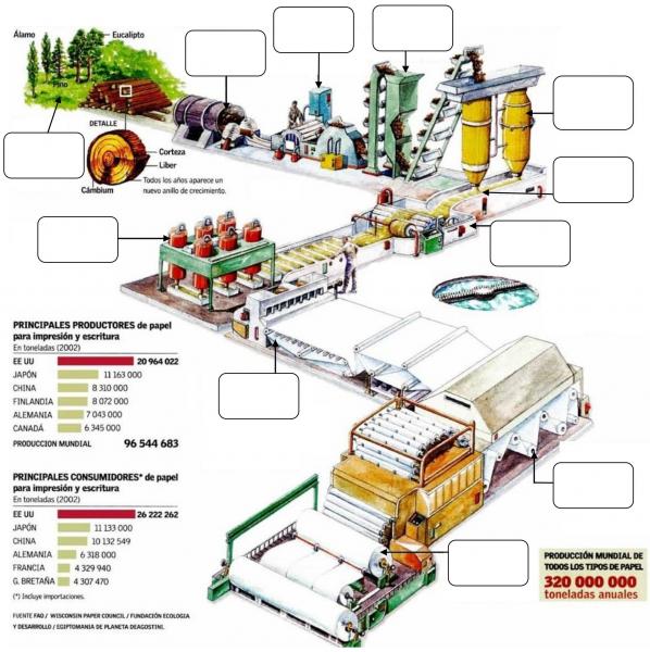 Fácilmente Ejecución Empeorando Procedimiento De La Fabricacion Del