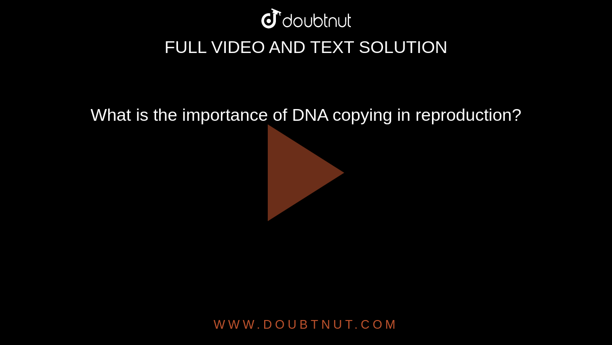 What Is The Importance Of Dna Copying In Reproduction