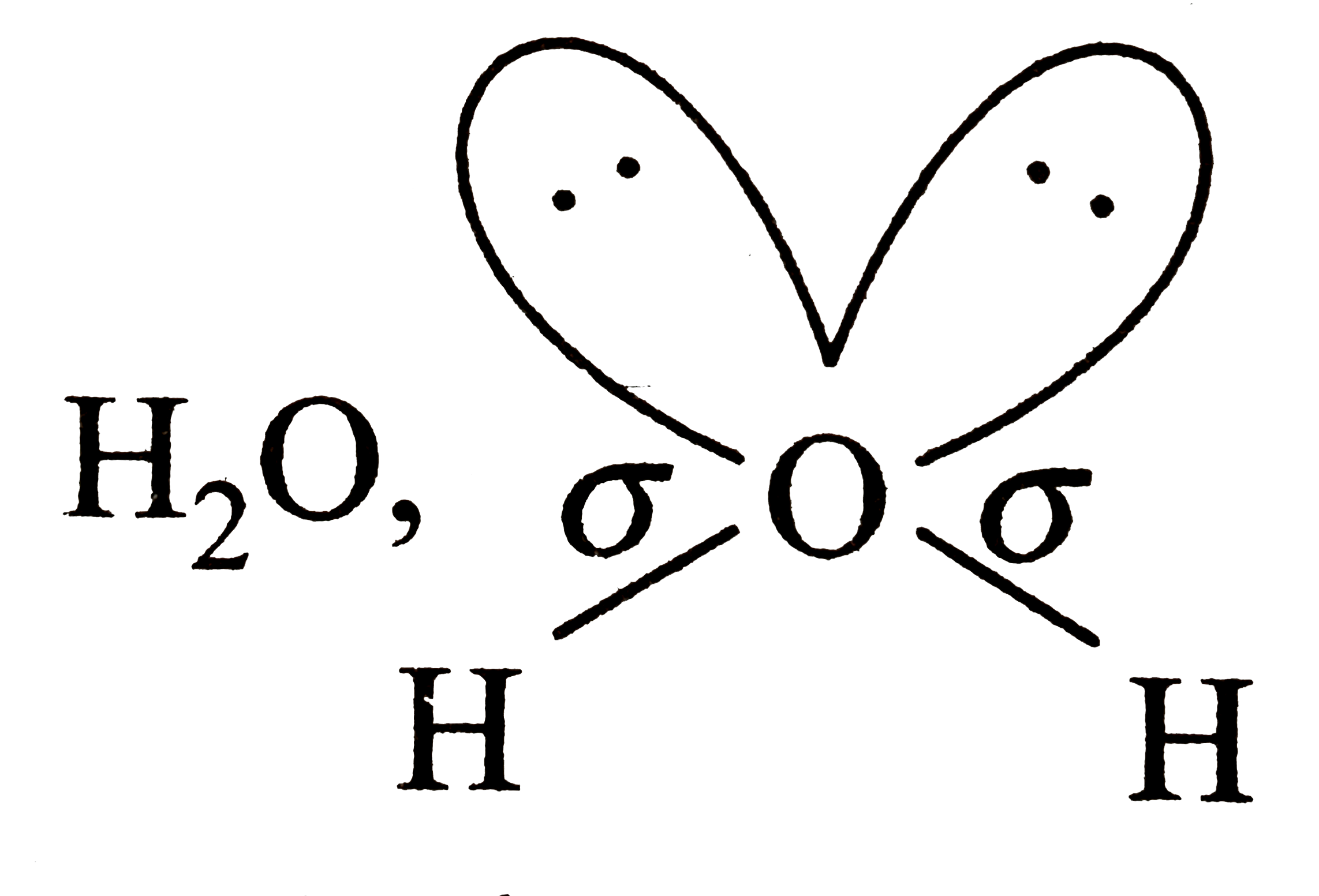 Which One Of The Following Molecules Contains No Pi Bond