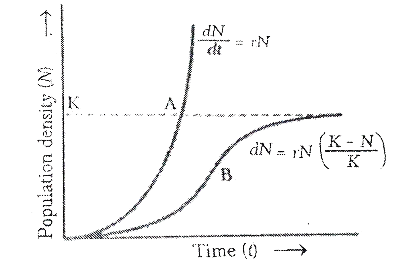 The Graph Shows Two Types Of Population Growth Curve A Is Exponential