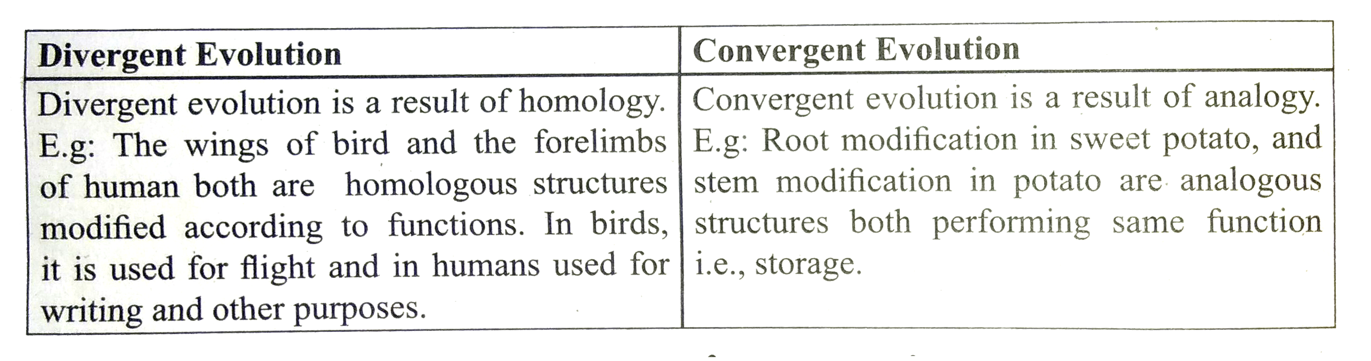 Convergent Evolution Vs Divergent Evolution