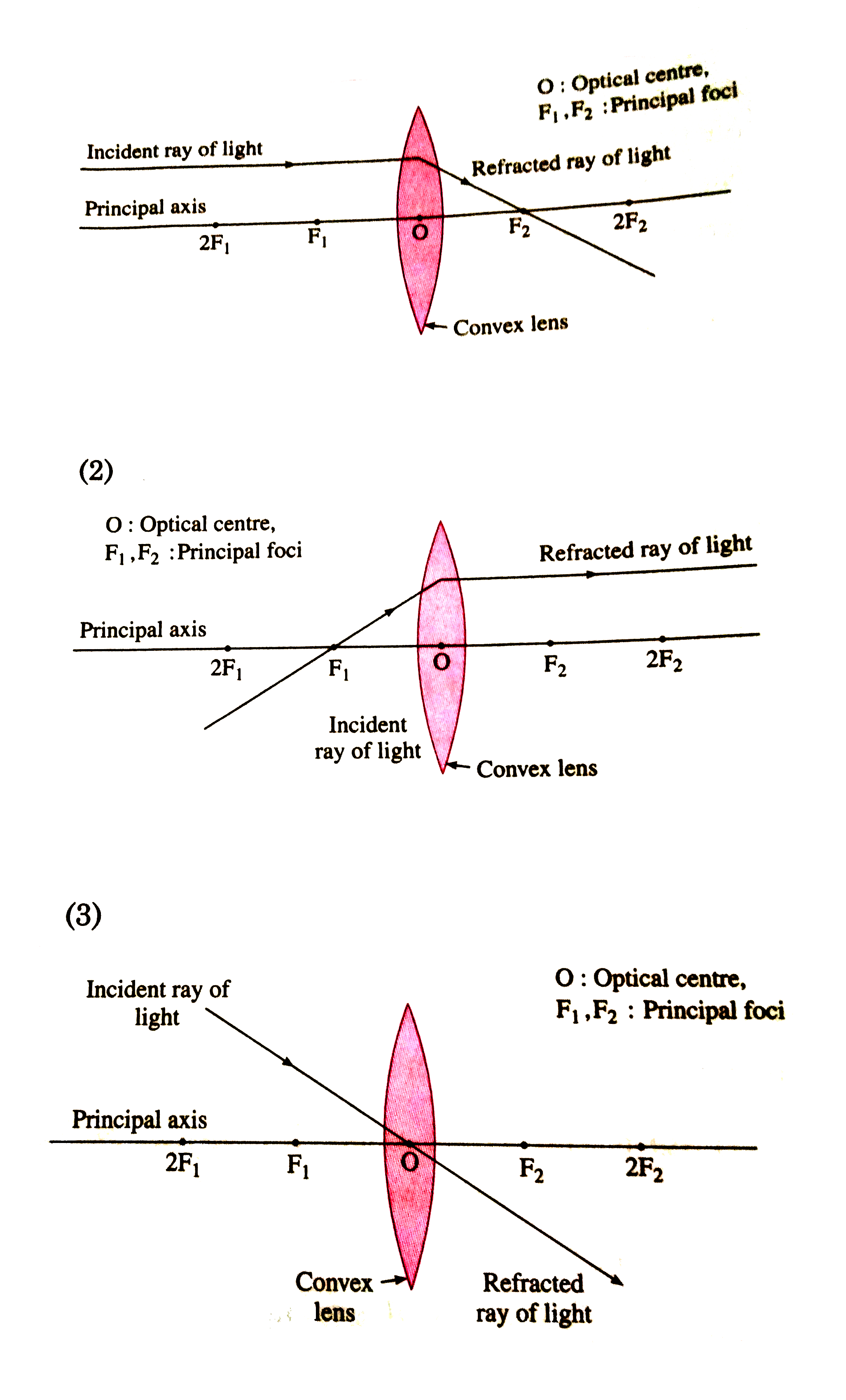 In The Case Of A Convex Lens Show The Path Of The Refraction Ray When