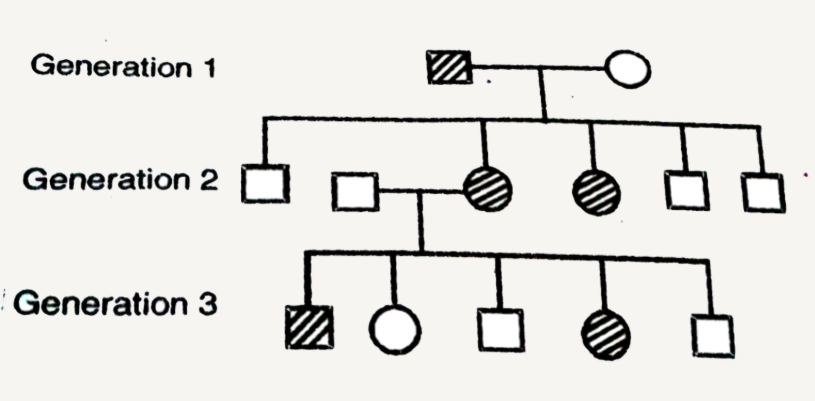 Study The Given Pedigree Chart Showing The Inheritance If An X Linked