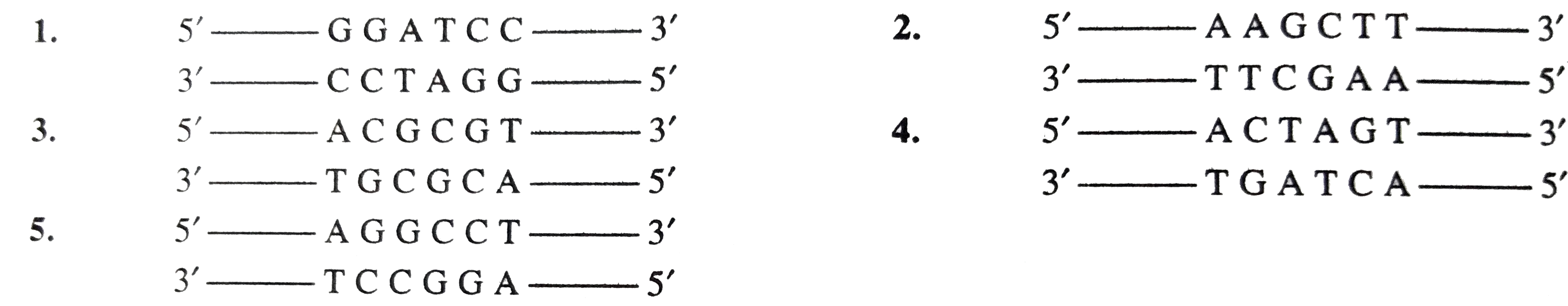 Collect 5 Examples Of Palindromic Dna Sequences By Consulting Your Tea