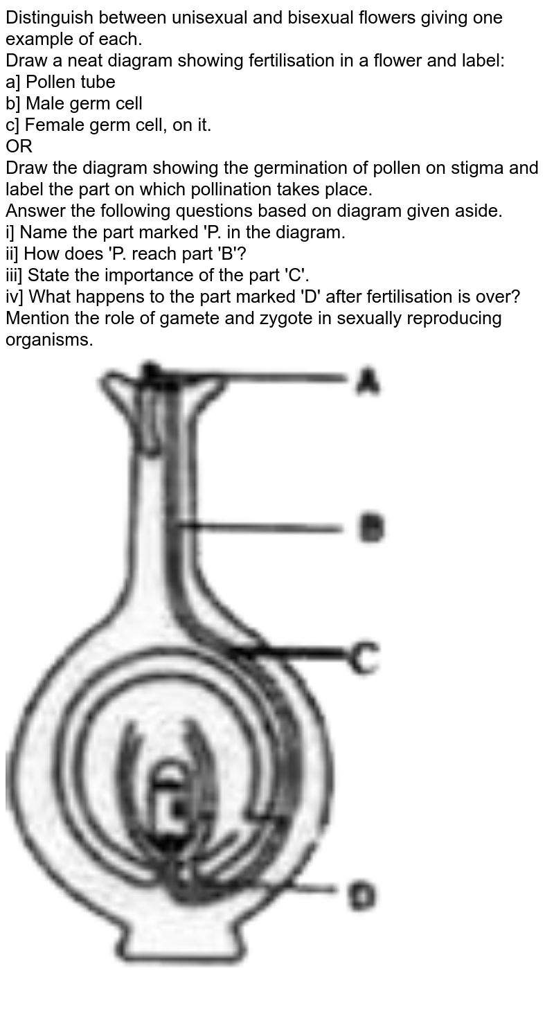 Distinguish Between Pollination And Fertilisation Mention The Sit