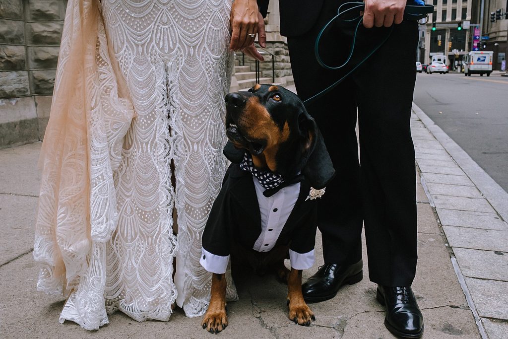 9 Fun Ways To Include Your Dog In Your Wedding Burgh Brides