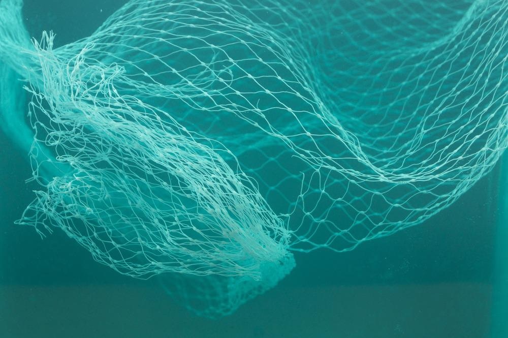 New Initiative To Create Bioplastics Made For Marine Degradation