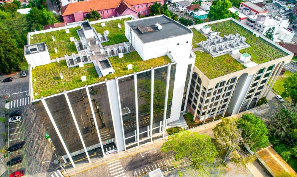 Implementing Green Roofs In Cities