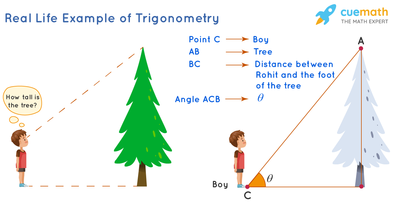 Trigonometry What Is Trigonometry Formulas Table Examples