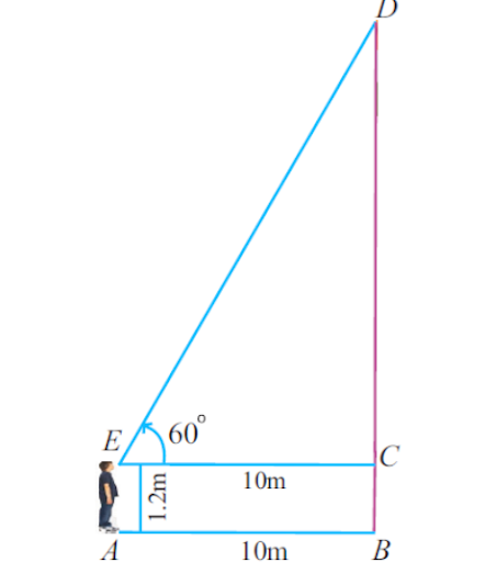 Trig Triangle Cheat Sheet Creationret