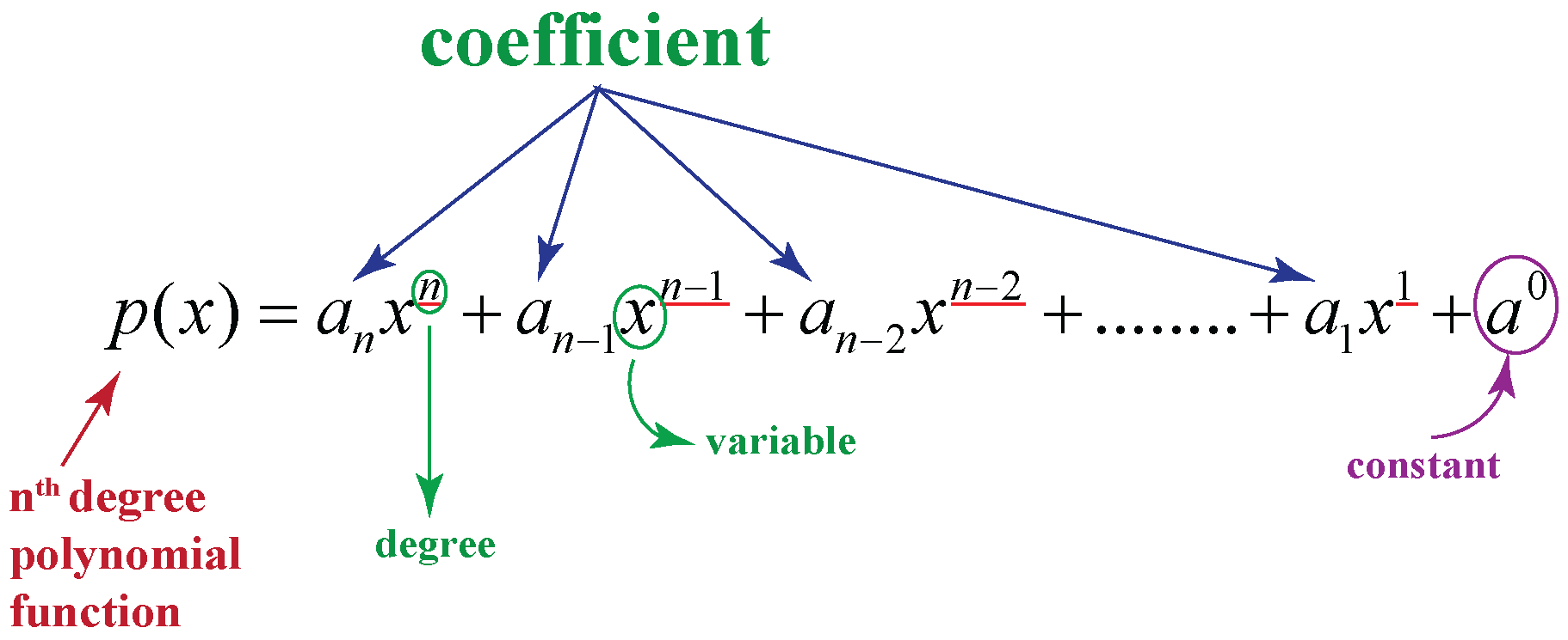 Nth Degree Polynomial General Form Concept And Solved Examples Cuemath