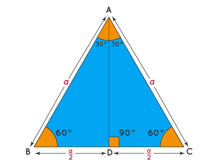 30 60 90 Triangle Rules Formula Theorem Sides Examples