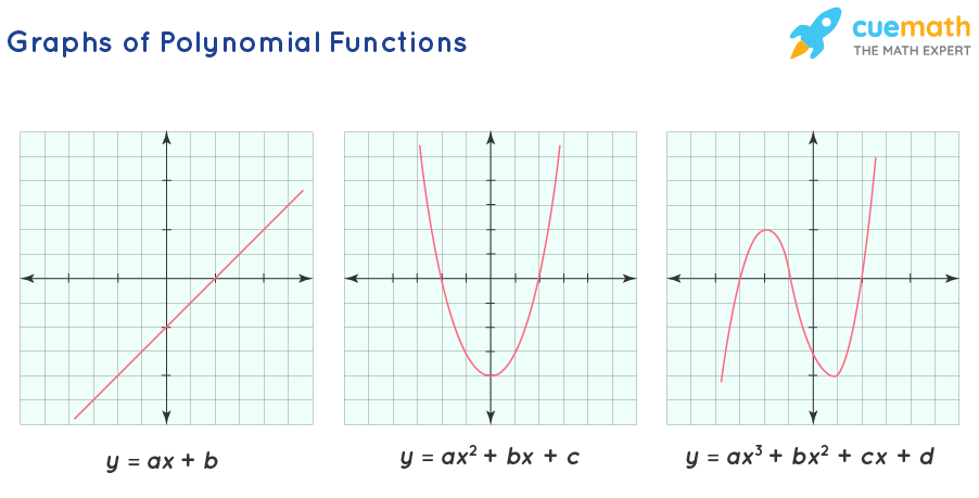 Polynomial Function Graph Definition Formulas Types