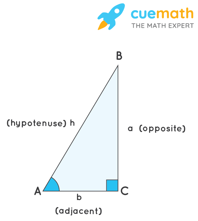 How To Find The Sides Of A Right Angled Triangle With One Given Side