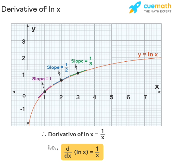 The Derivative Of Ln X All You Need To Know Education Tips