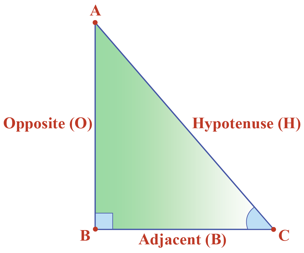 Trigonometric Ratios In Right Triangles My Xxx Hot Girl