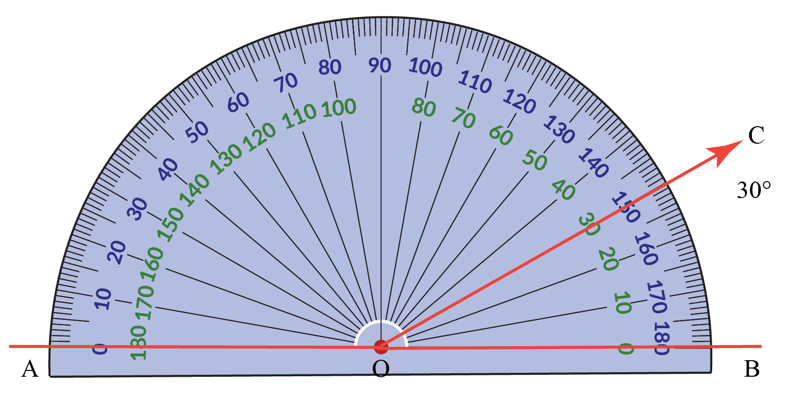 Determining Angles With Protractors