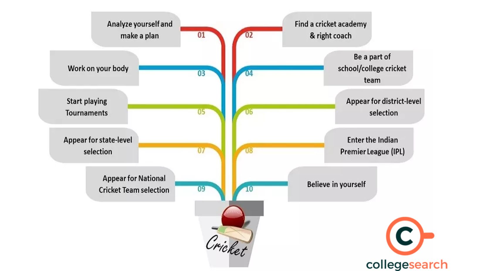 How To Become A Cricketer A Step By Guide 2024 Requirements Skills