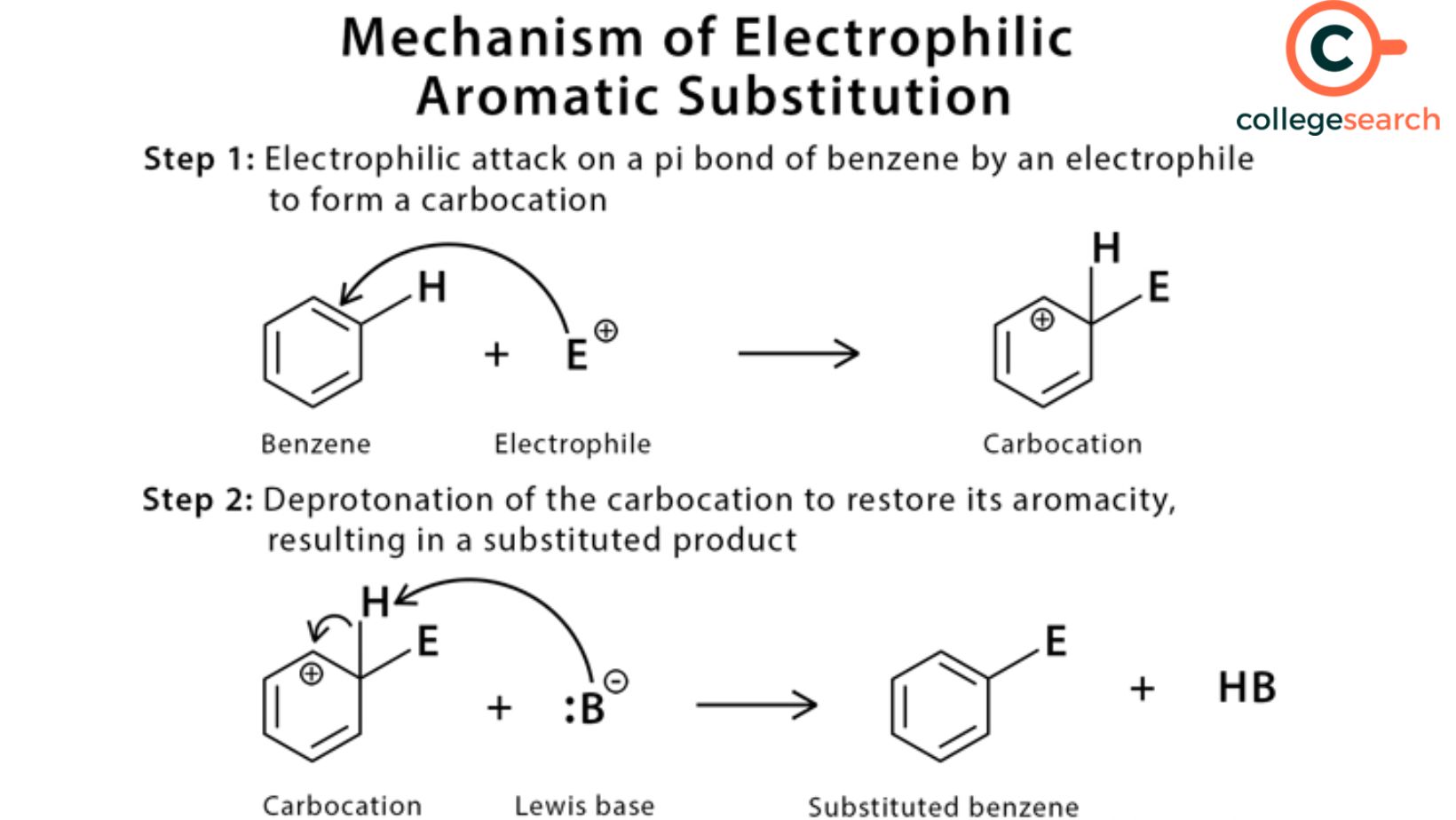 Electrophilic Substitution Reaction Definitions Examples Importance