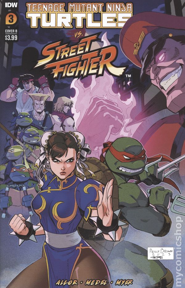 Teenage Mutant Ninja Turtles Vs Street Fighter 2023 Idw 3b