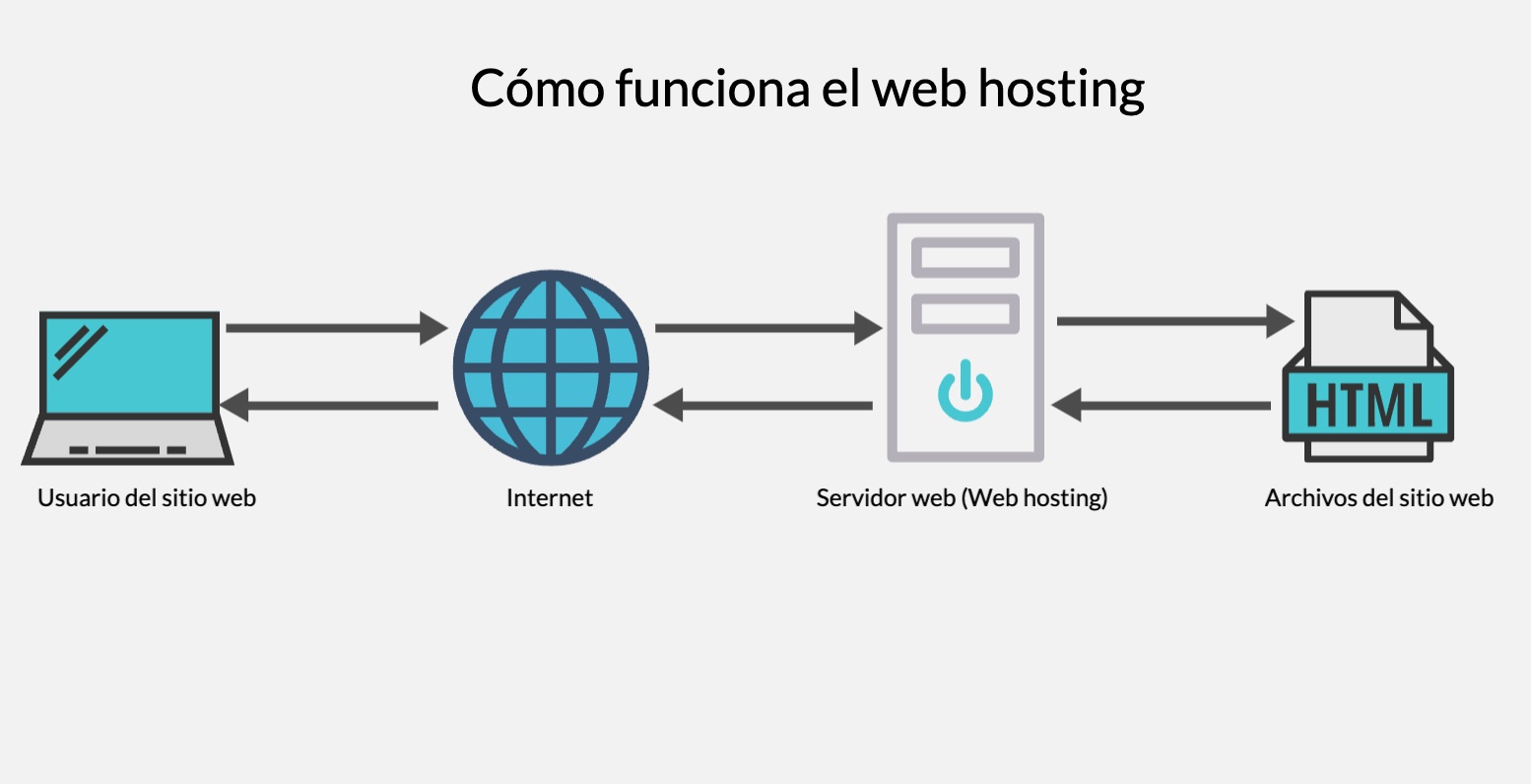 ¿qué Es El Web Hosting Explicación Del Servicio De Web Hosting Bc