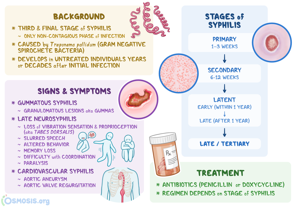 Tertiary Syphilis What Is It Causes Treatment And More Osmosis