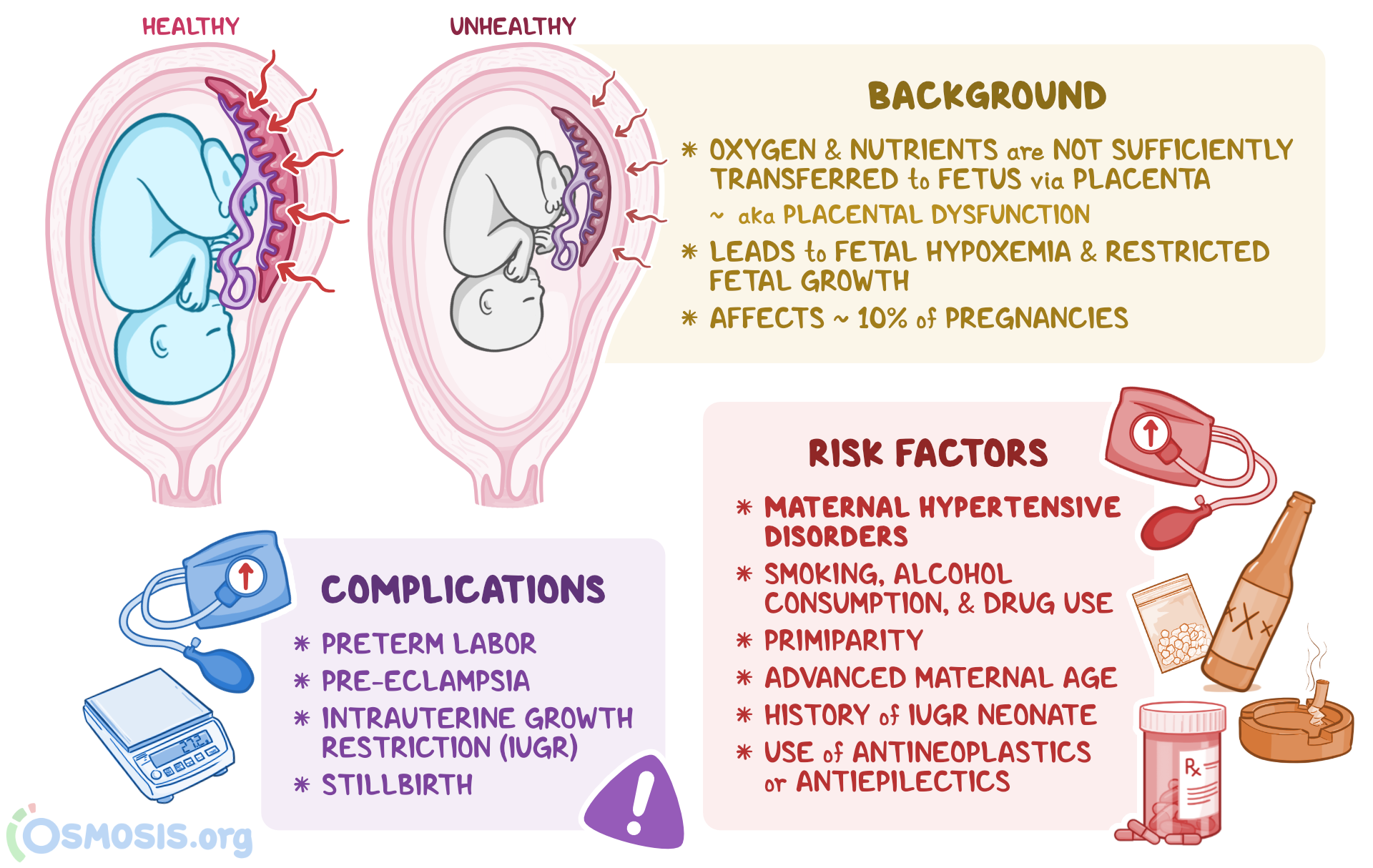 Describe The Role Of The Placenta In Fetal Development Marissaanceroach