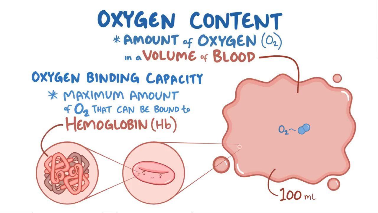 Oxygen Binding Capacity And Oxygen Content Osmosis