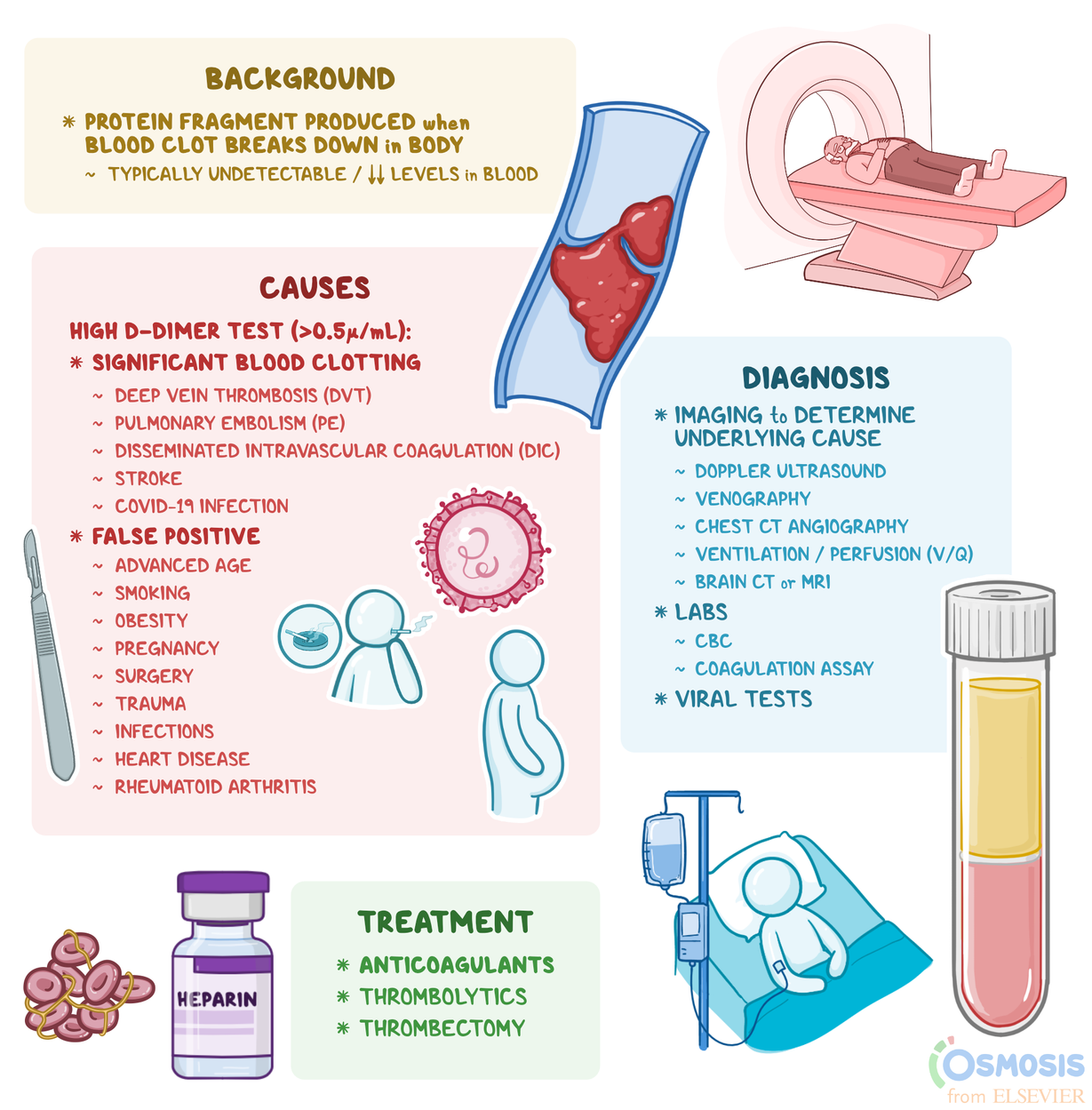 D Dimer What Is It Testing And More Osmosis