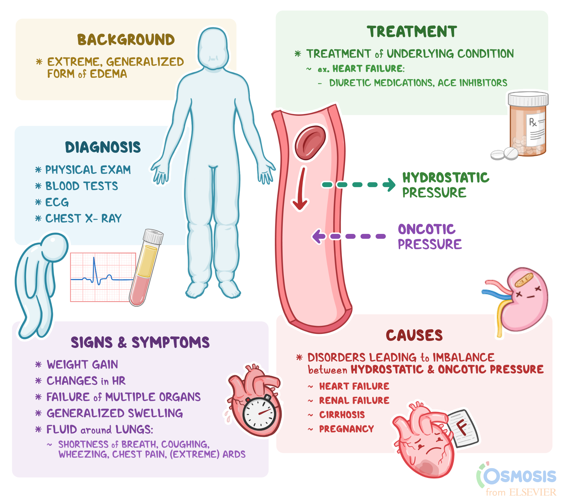 Osmosis Abscesses Causes Symptoms Diagnosis Treatment Pathology Sexiz Pix