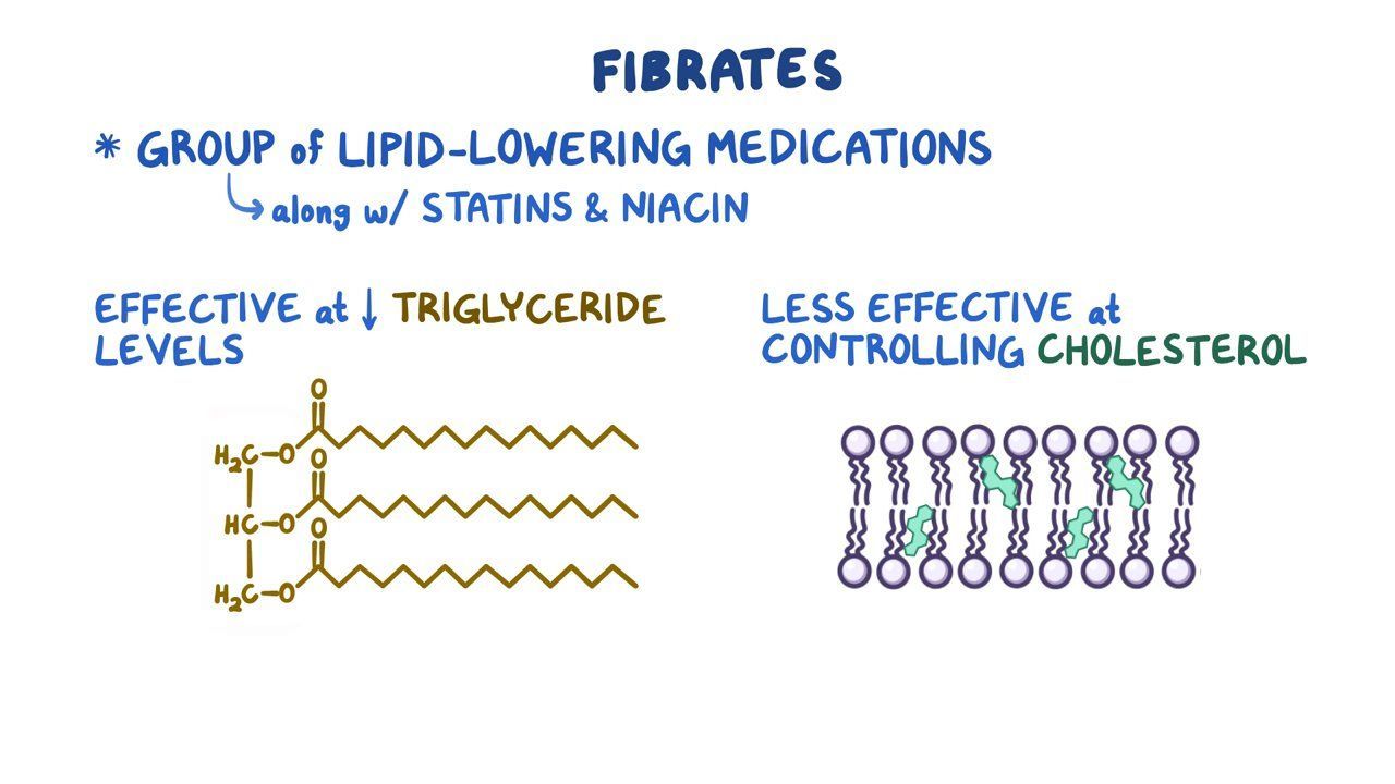 Lipid Lowering Medications Fibrates Osmosis