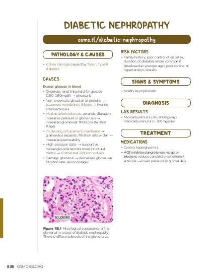 Diabetic Nephropathy Video Anatomy And Definition Osmosis