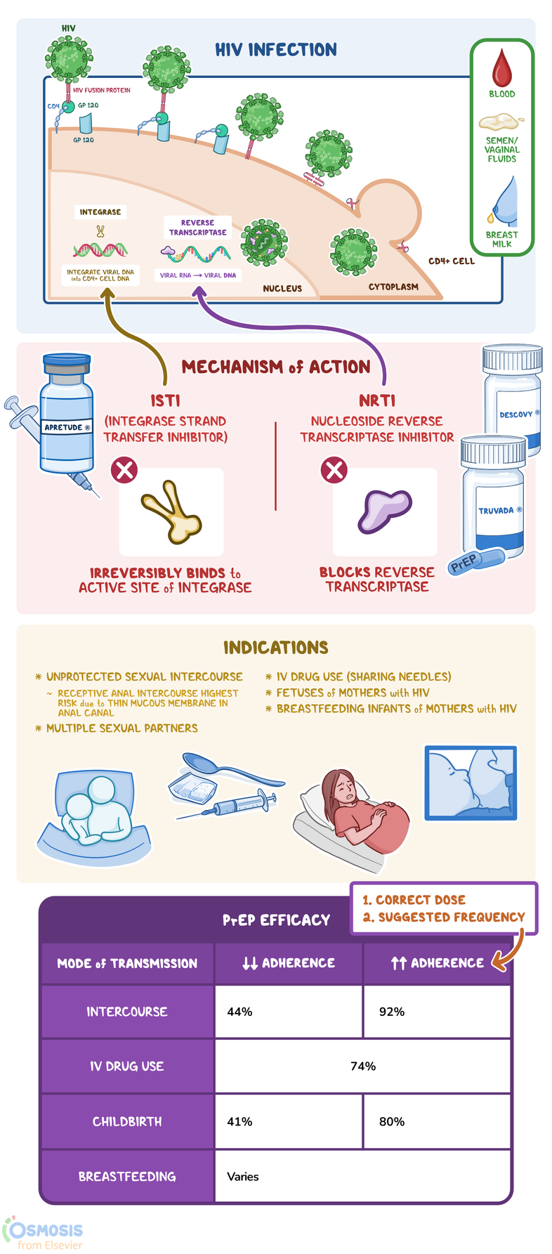 Pre Exposure Prophylaxis Prep What Is It How Does It Work And More