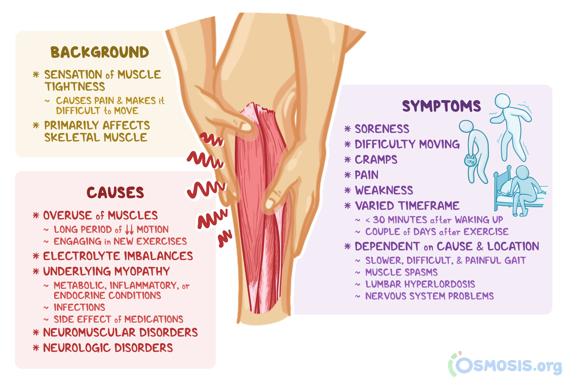 Muscle Stiffness What Is It Causes Treatment And More Osmosis