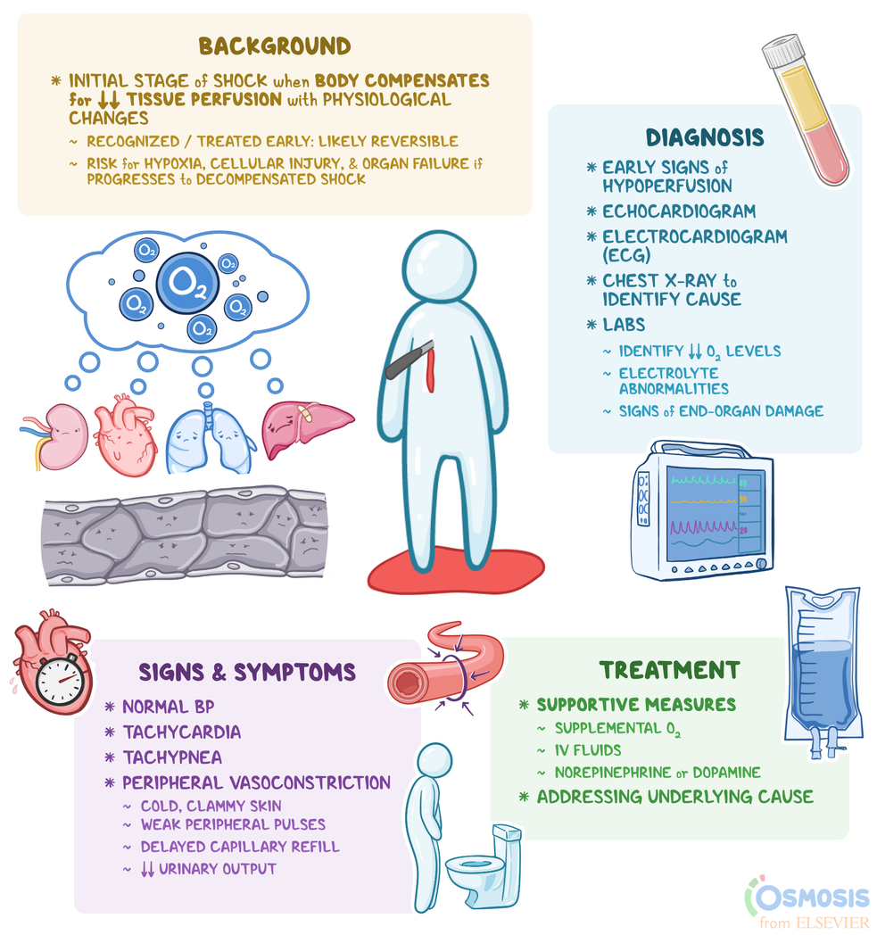 Phases Of Shock Compensatory What Is It Causes Osmosis