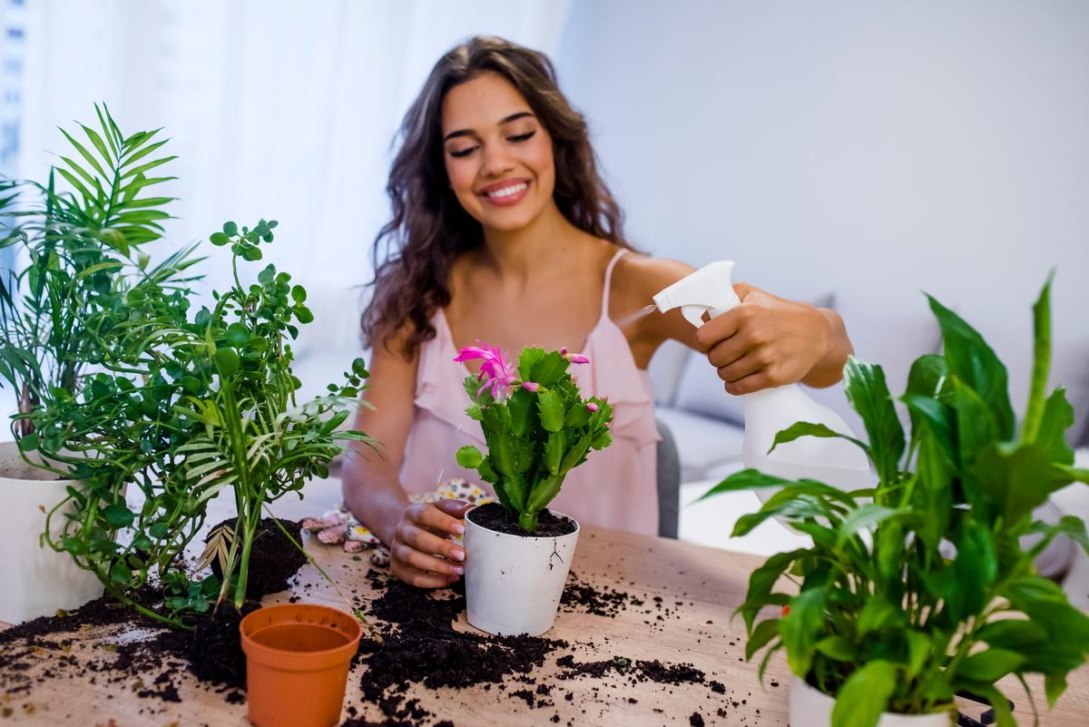 7 Secretos Para Lograr Plantas Más Lindas Maschic Maschic