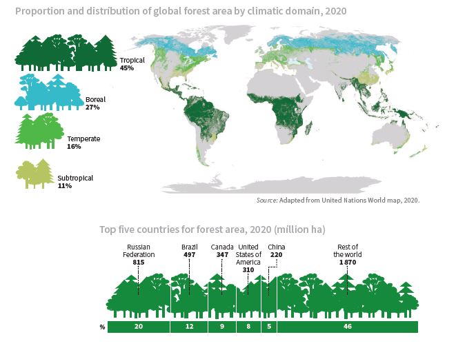 Global Forest Resources Assessment 2020 Civilsdaily