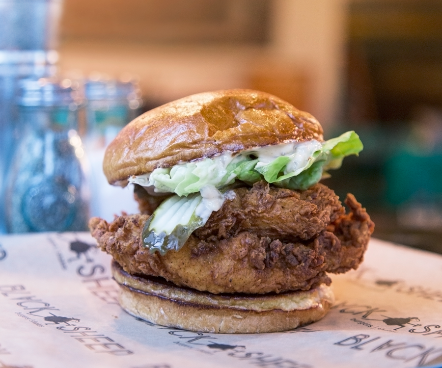 5 Best Chicken Sandwiches