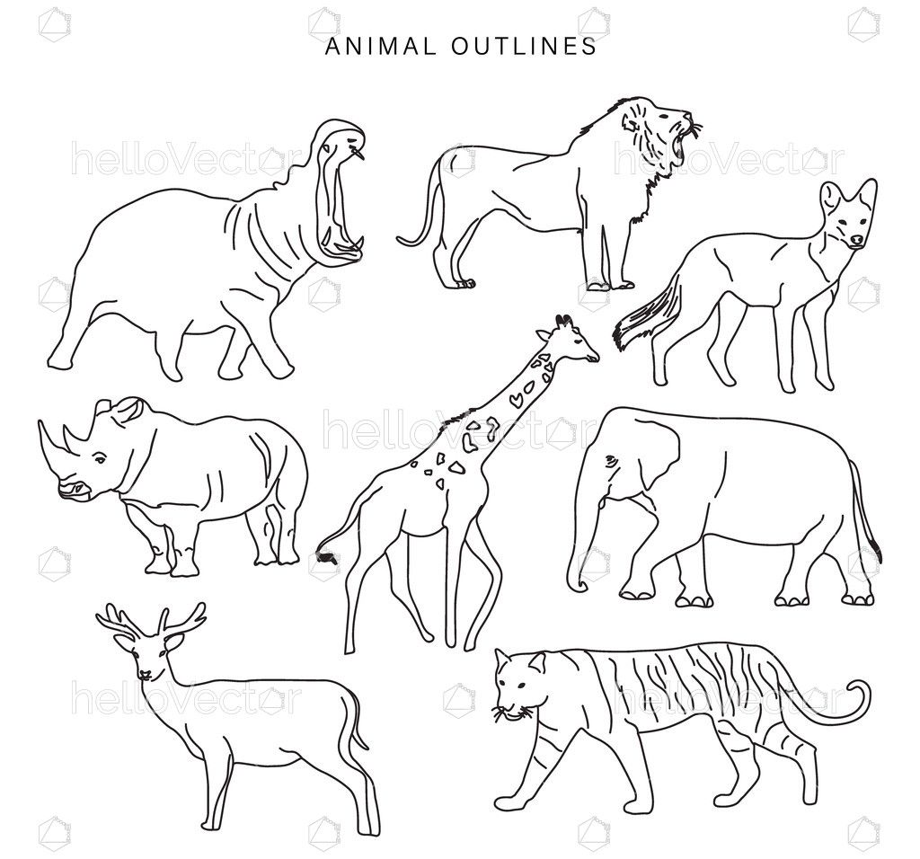 A Set Of Wild Animals Outline Vector Download Graphics And Vectors