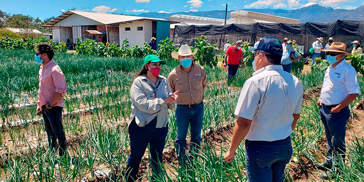 Gobierno Comienza Entrega De Bono Tecnológico El 1 De Junio Diario La