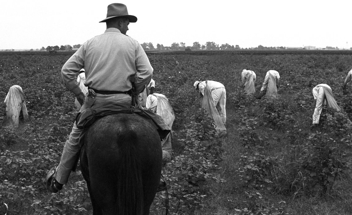 Prison Plantations The Marshall Project