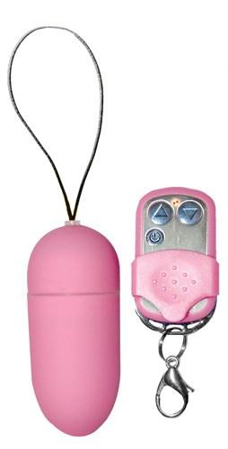 Power Bullet Vibrator With Remote Control Pink On Literotica
